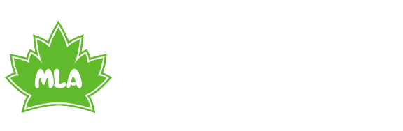 Trang chủ - Maple Leaf Academy - Hệ thống trường liên cấp chất lượng cao