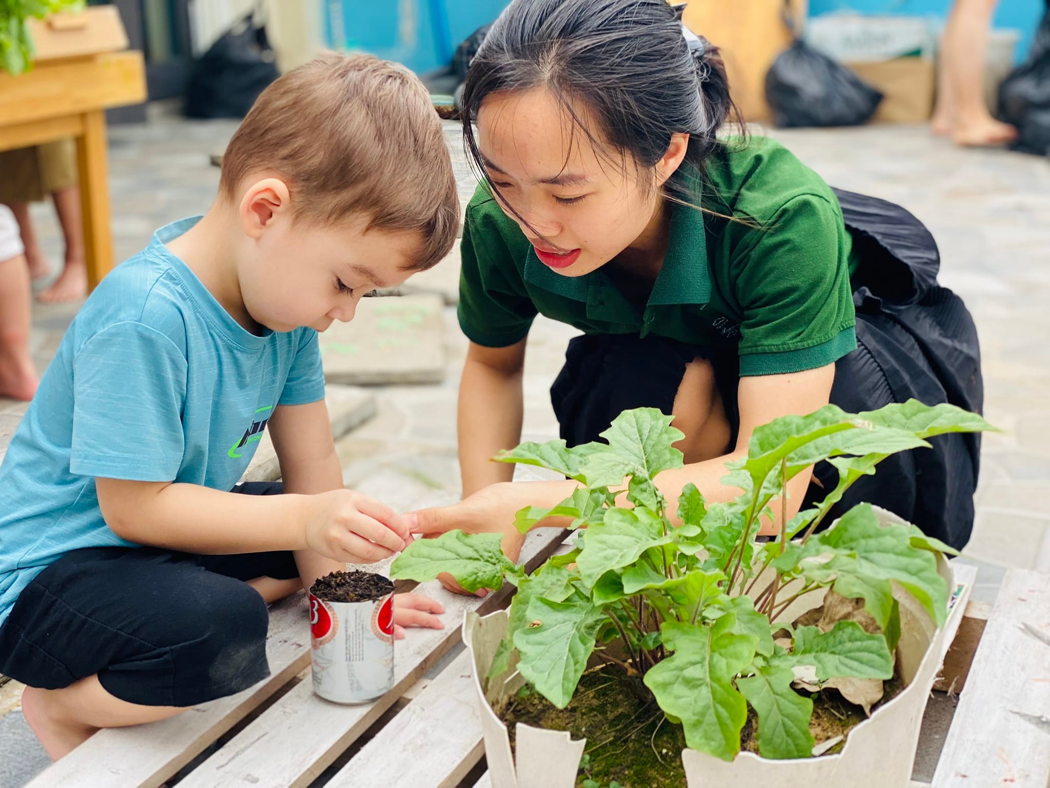CÁC THÍ NGHIỆM VỀ THỰC VẬT - Maple Leaf Academy - Hệ thống trường liên ...